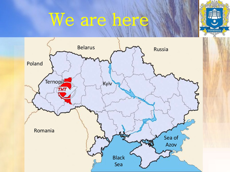 TNTU : International activity